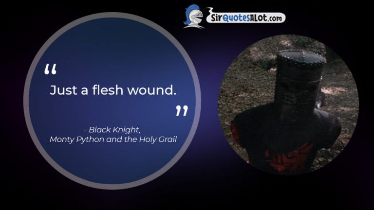 180+ Hysterical Monty Python Quotes - Sir QuotesALot