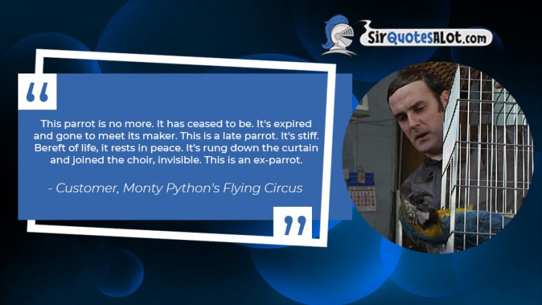 180+ Hysterical Monty Python Quotes - Sir QuotesALot